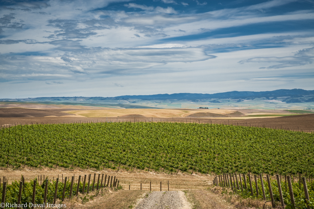 A virtual tour of Washington state wine - Northwest Wine Report