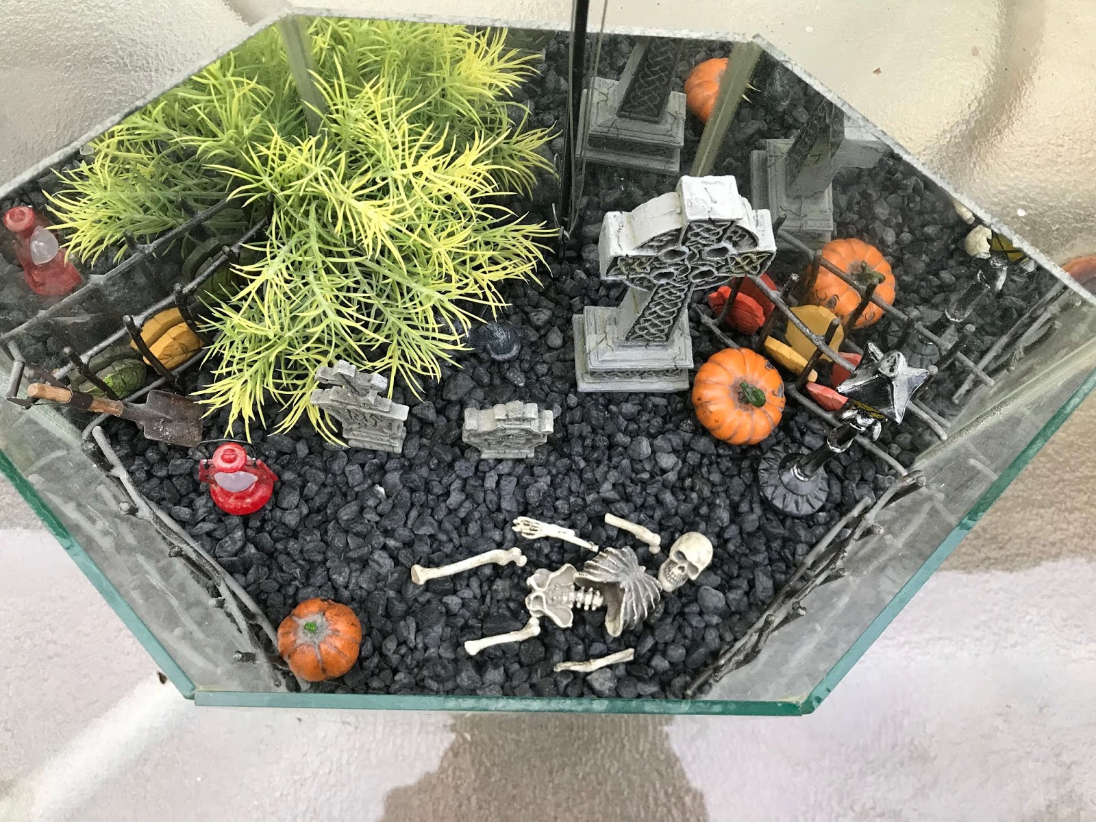 Maple Grove Cemetery: #countdowntoHalloween day 29 - Ceme-terrarium