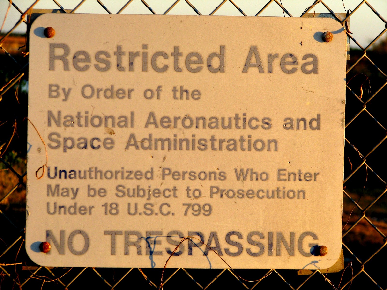 Tales From a Wandering Albatross: Greetings from Sunny Florida!