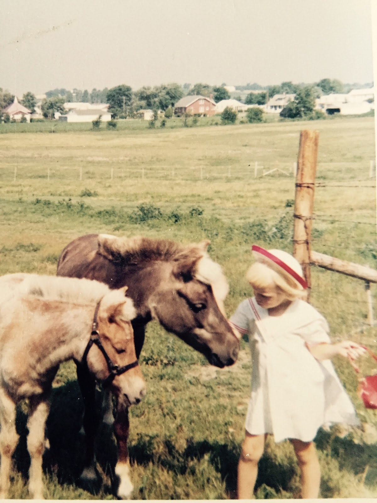 Marriage ~ Women 50+ ~ Horse Lessons: Single Mom ~ Raising My Son as a ... Marriage ~ Women 50+ ~ Horse Lessons: Single Mom ~ Raising My Son as a ...