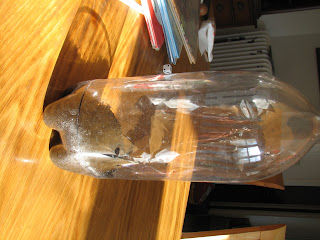 Science Matters: Tsunami!: Tsunami Demonstration