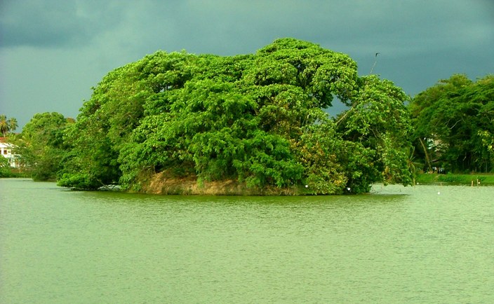 Roshographs: The Maharagama Lake and Nature Around it