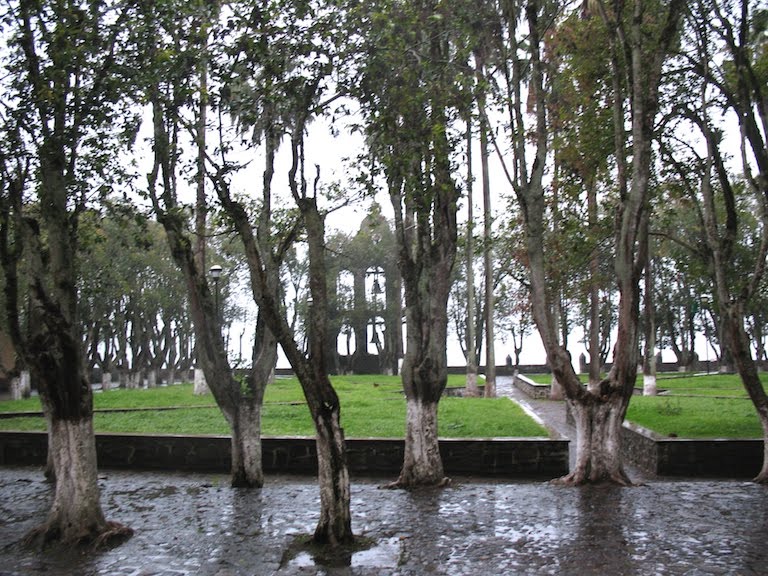 colonialmexico: The Stones of Molango