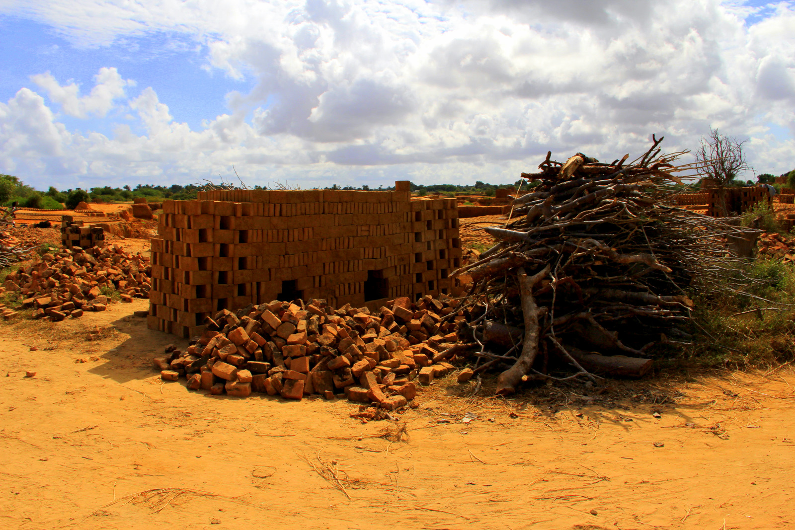 All The Live Long Day: Madagascar Honeymoon, Post #7: 21 to 27 April 2011