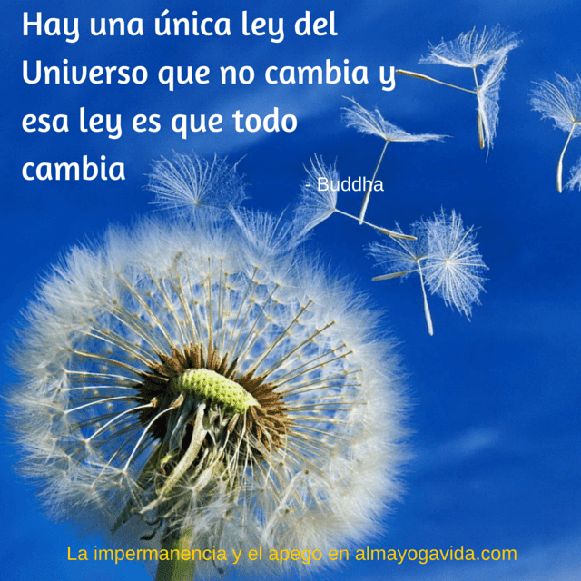 +Quédate En Casa con.... EL VALOR DE LA IMPERMANENCIA