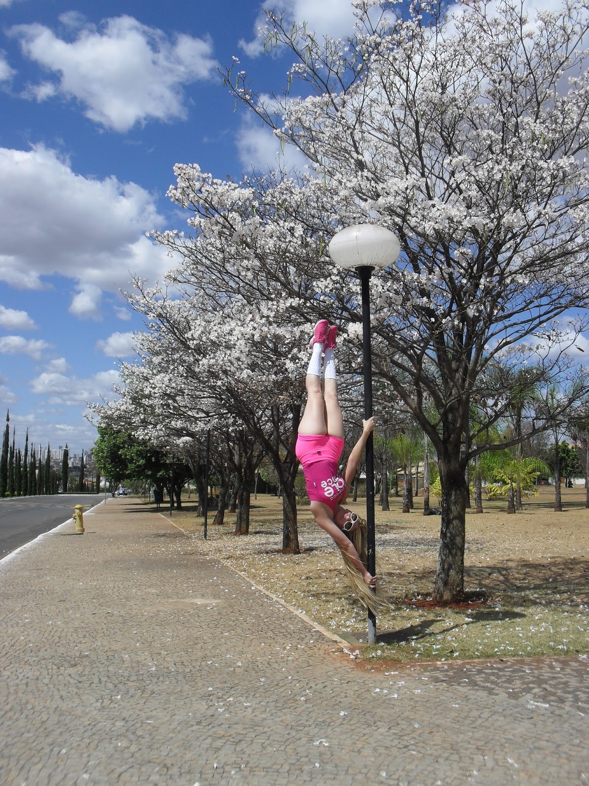 Revista Beleza e Forma: Pole Fitness: TENDÊNCIA de Ginástica do momento