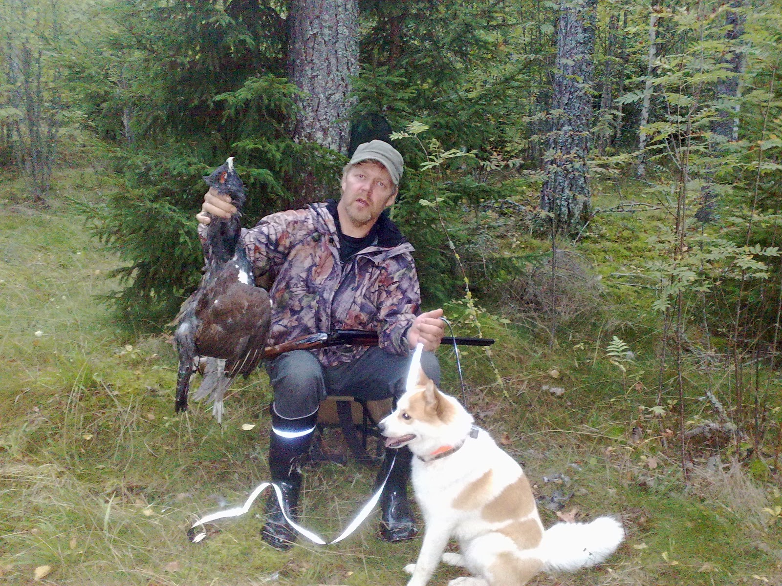 Pohjanpystykorva Talaspuron Aku