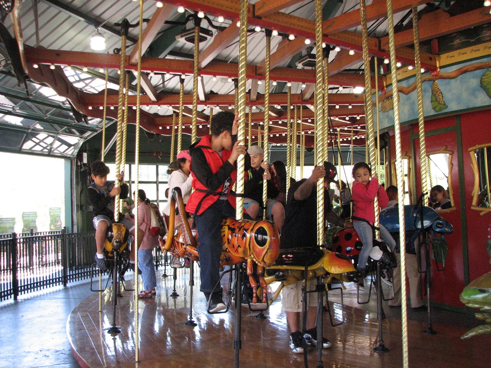 Bonao Internacional: " BUG CAROUSEL " : EL CARRUSEL DE LOS INSECTOS