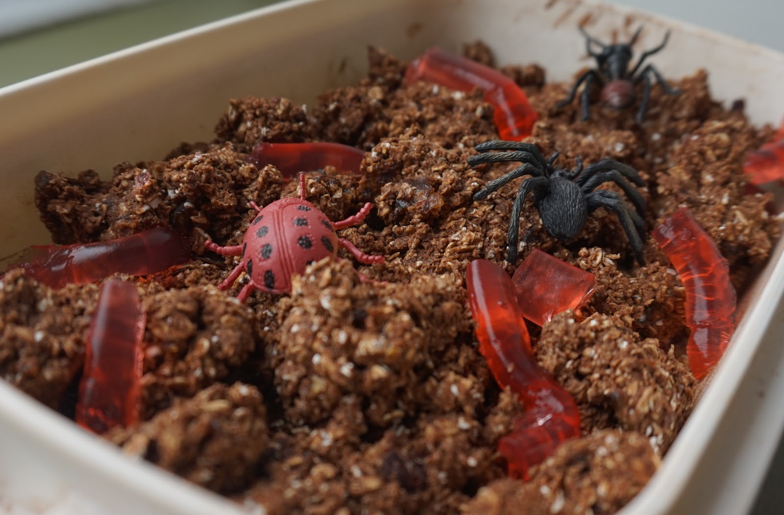 Insektenwoche Tag 3: Fühlwanne: Insekten und Würmer in essbarer Erde