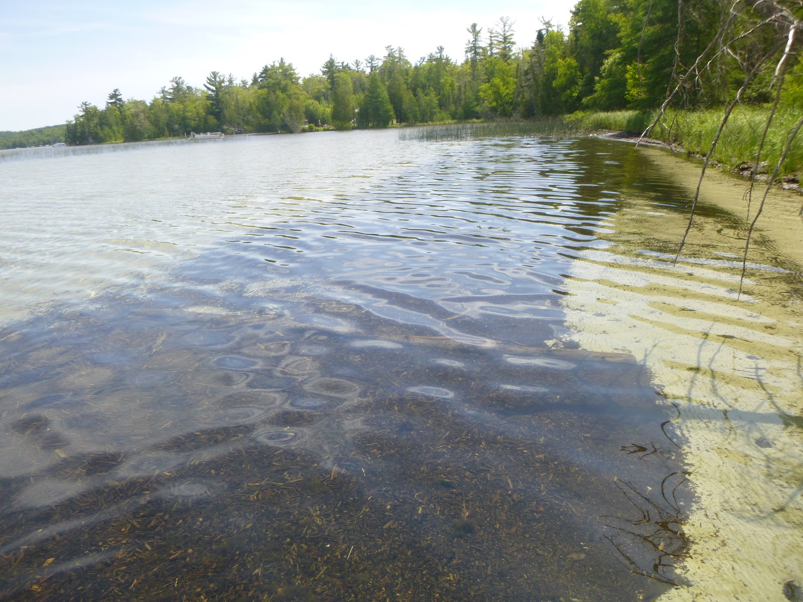 The 1,000-Mile Great Lakes Adventures: Kayaking Lime Lake
