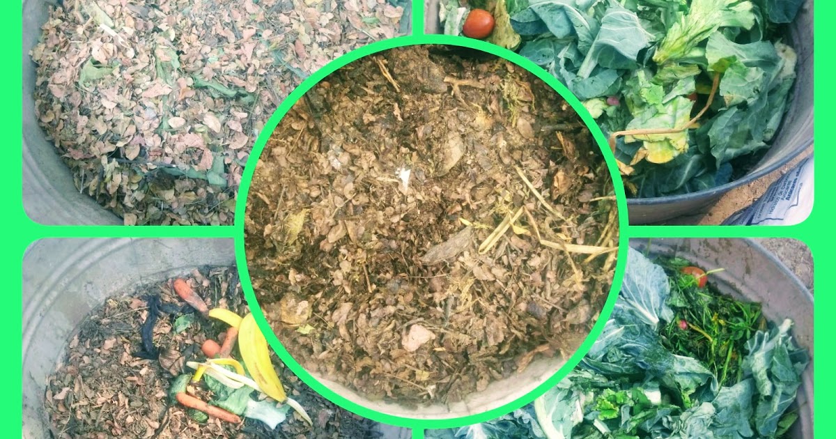 como elaborar una composta en casa