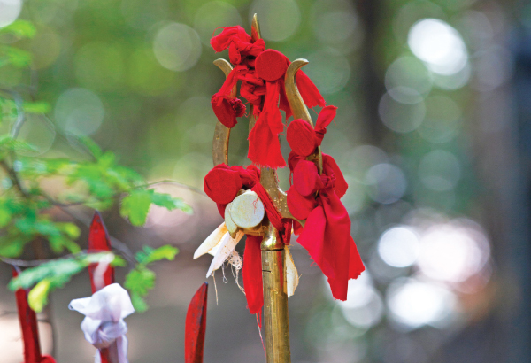 kabiliththa dewalaya & Yala Safari (කැබිලිත්ත දේවාලය හා යාල සෆාරි ...