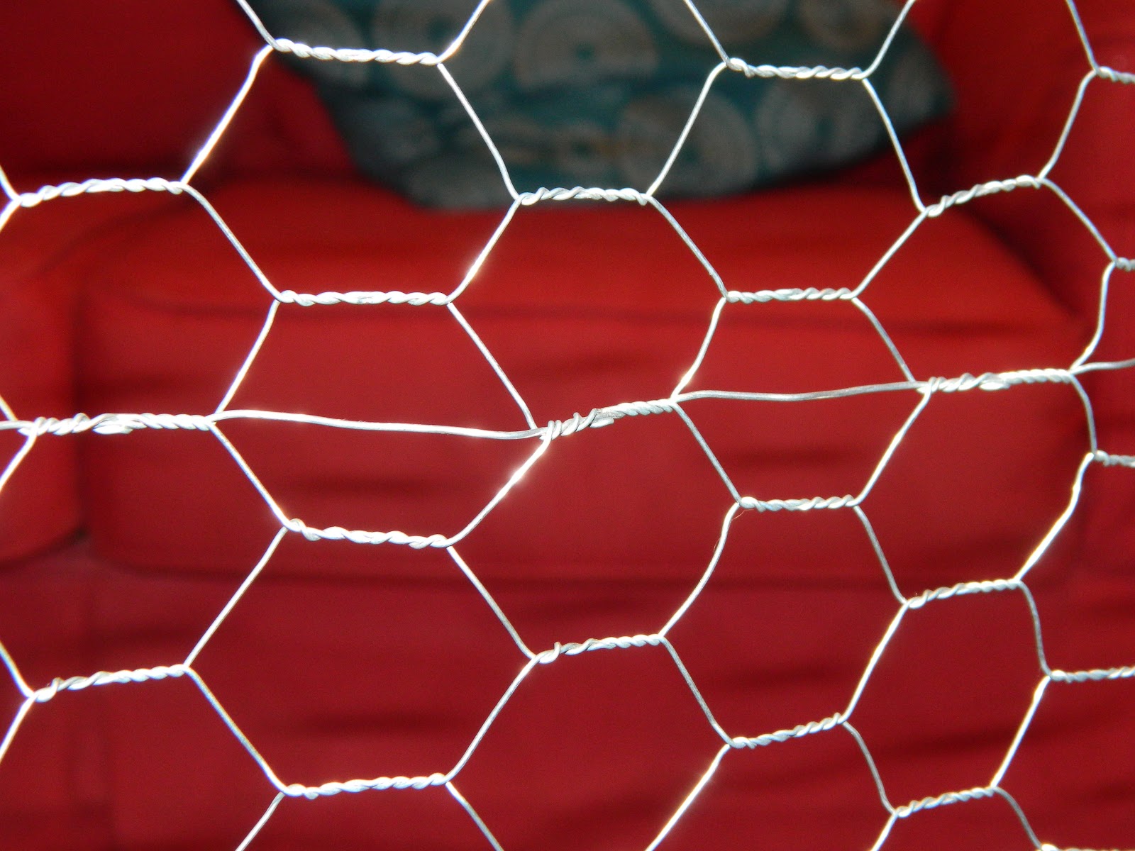 Polka-Dotty Place: My 1st Project with Chicken Wire