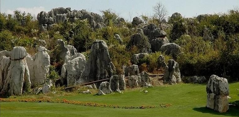 GENERAL BLOG: Amazing Stone Forest Nature Photography