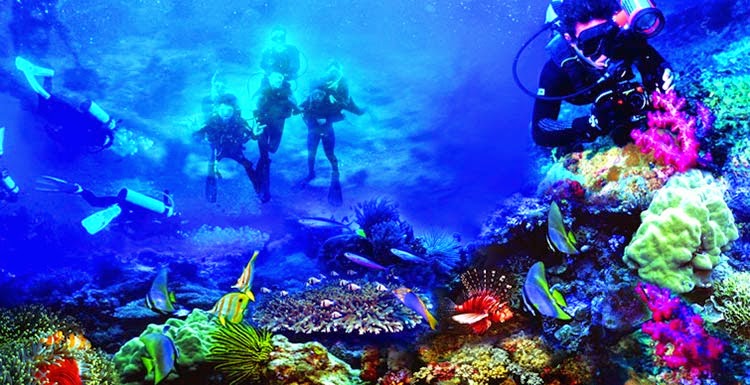 Manado - Alchetron, The Free Social Encyclopedia