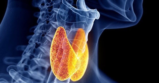 Pemakanan Bagi Pesakit Hipertiroid ~ Tiroid dan Anda