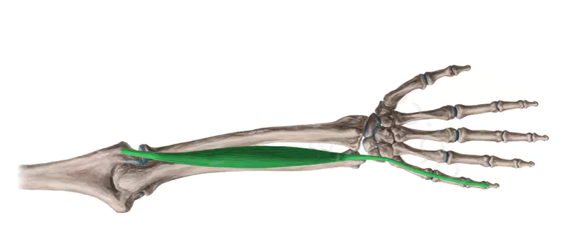 Un dermatólogo en el museo : 2021-11-07