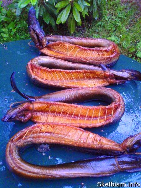 DARNOS DIDVALSTYBĖ: Kuršiškai rūkytas ungurys - Pasaulio gurmanų svajonė