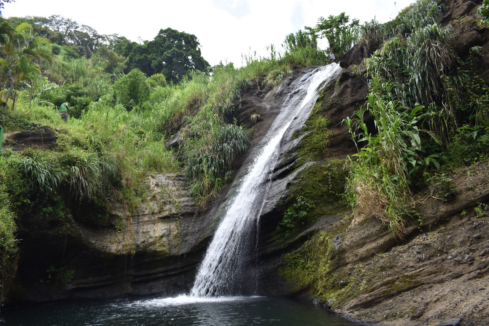 Grenada Waterfalls