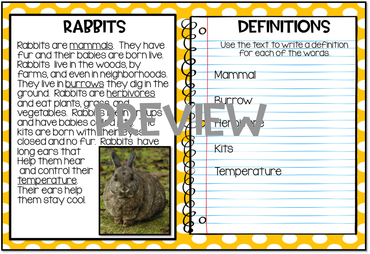 1st Grade Hip Hip Hooray!: Chicks and Bunnies ... Using informational ...