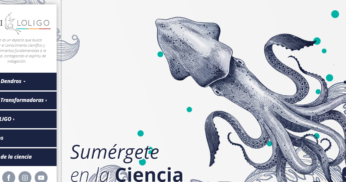 Loligo ~ Centro de Herramientas y Recursos para el Aprendizaje