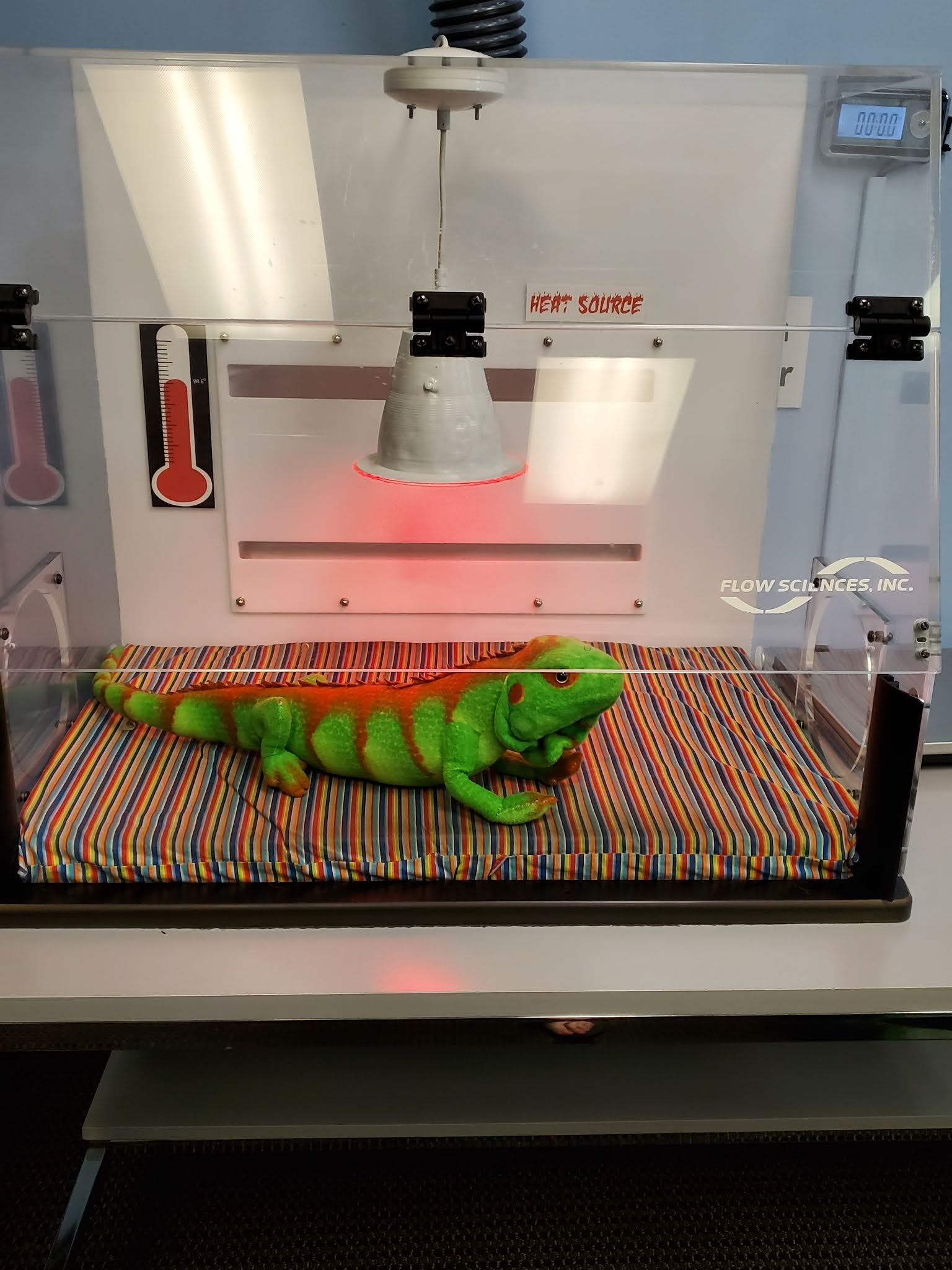 Play St. Louis: Myseum, Town and Country