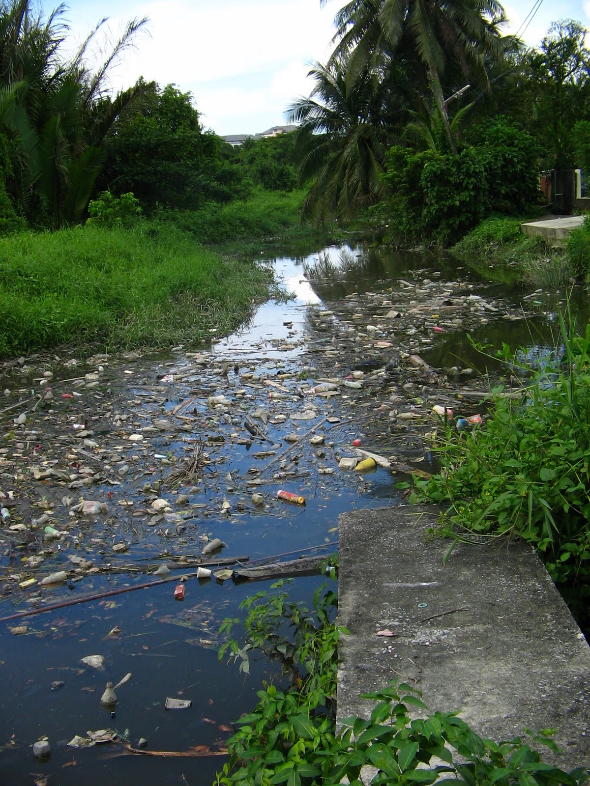 HARPACTIRINAE BIOTECHNOLOGY: Pollution of water resources in Kuching ...