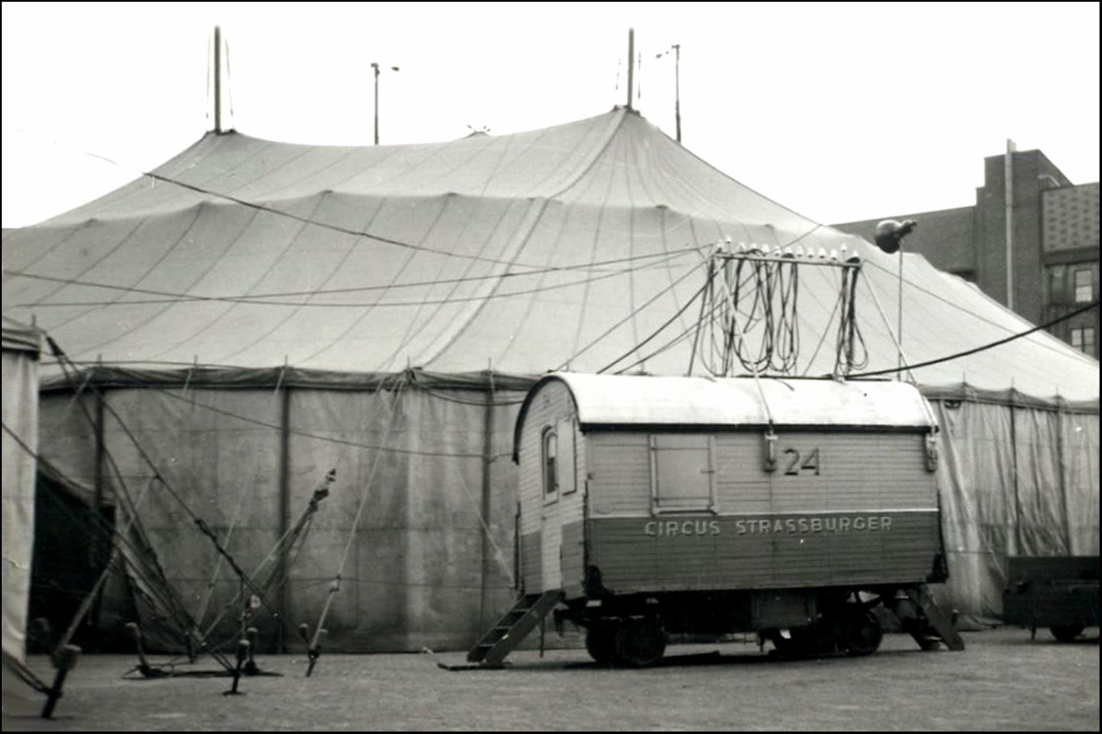 Buckles Blog: STRASSBURGER #6