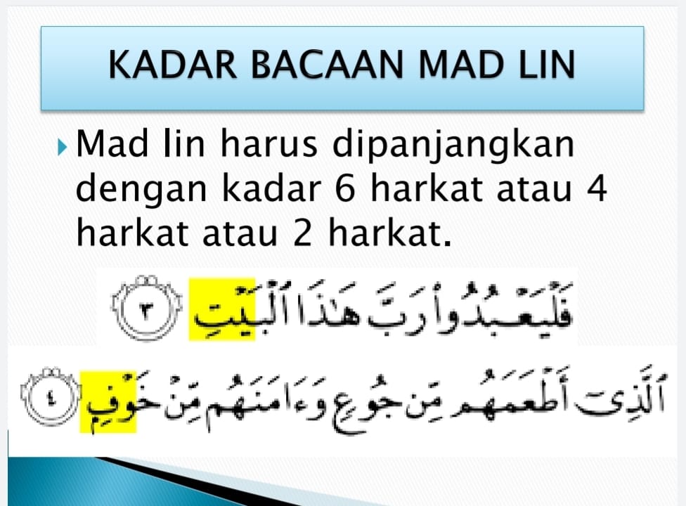 Hidup Matiku: Mad Lin