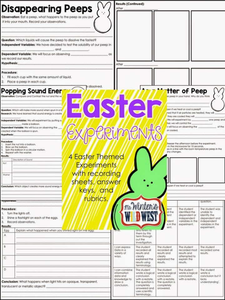 Ms. Winter's Wild West: Egg-Citing Science