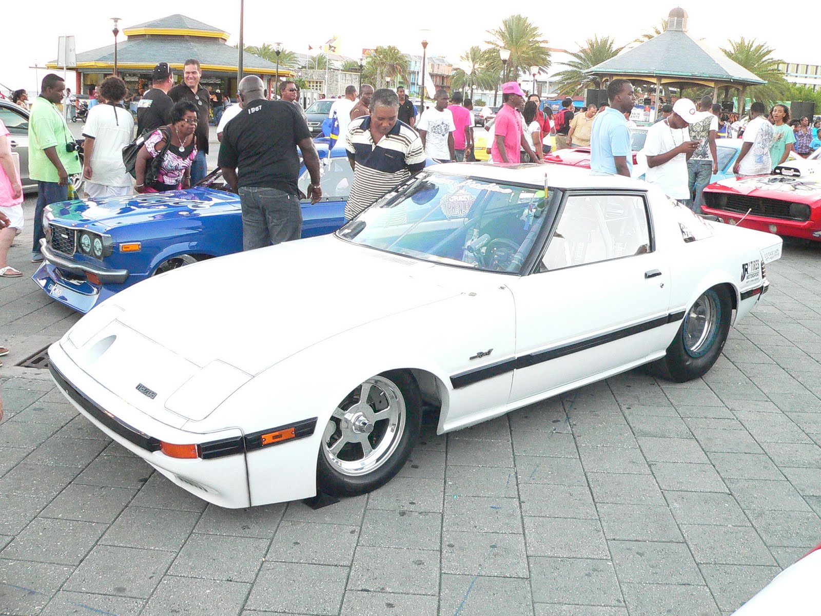 Papo Racing News Cool Cars Hot Girls