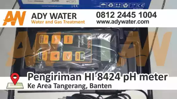 pH Meter Hanna HI9124 | Ady Lab Jual pH Meter Hanna Instruments di Bandung, Jakarta, Surabaya