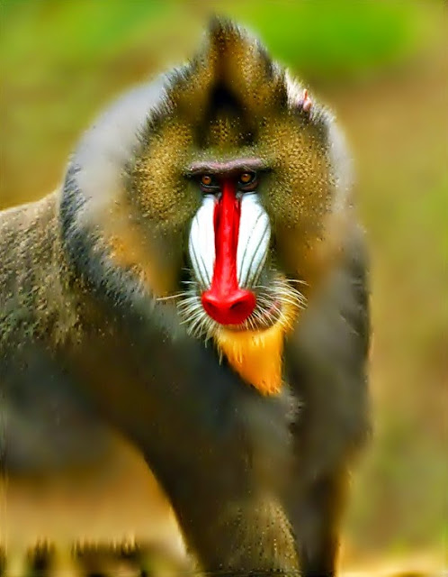 Satsang : La Teoría del Centésimo Mono