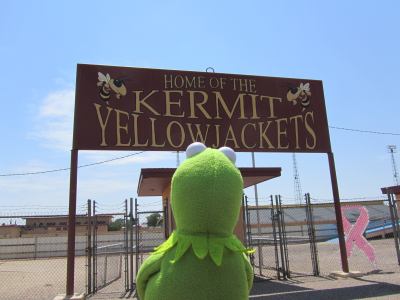 Frogtown: The Yellow Jacket Through the Years