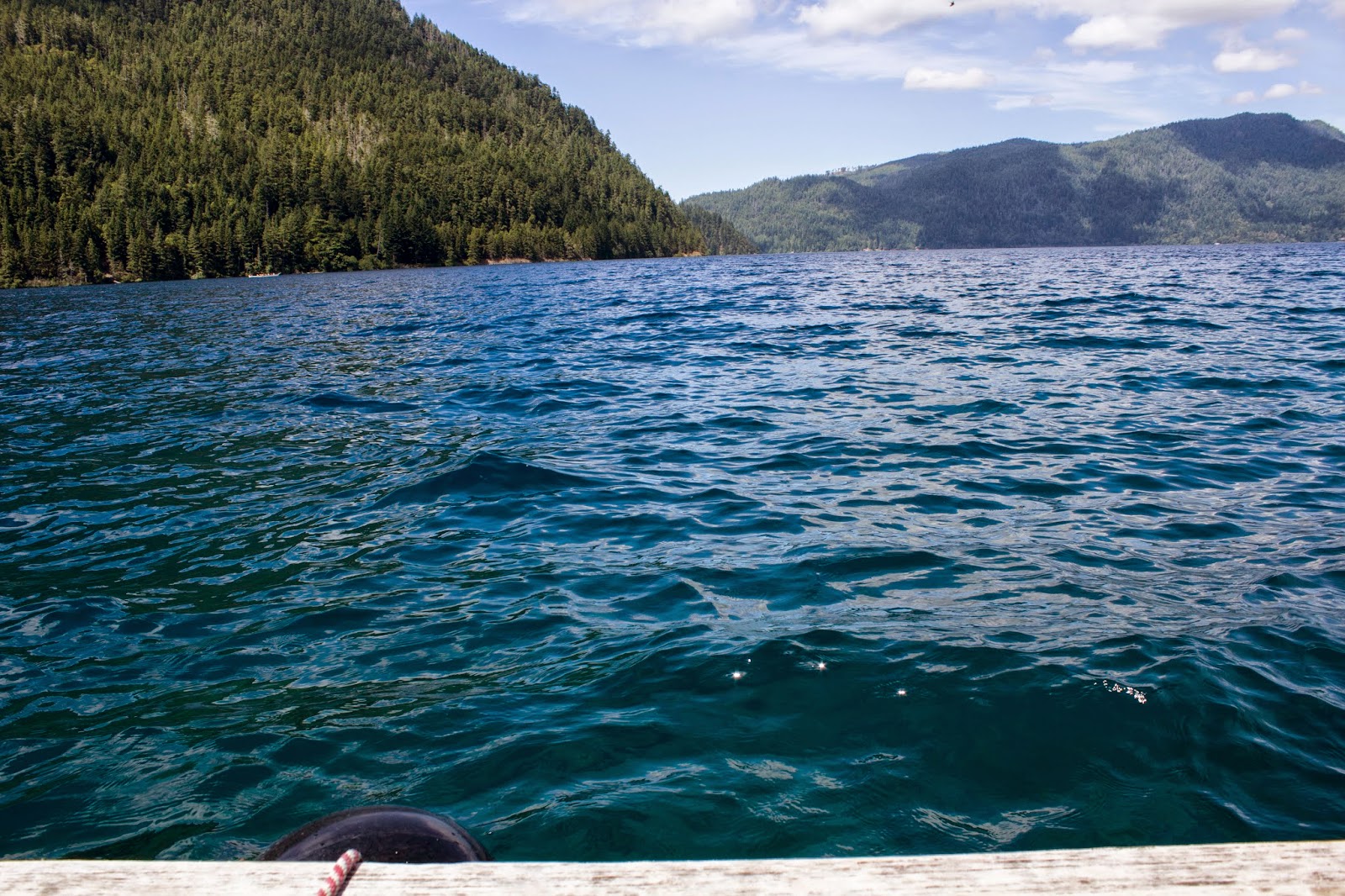 Madeline Jones Photography : Nature Bridge~Olympic National Park, WA