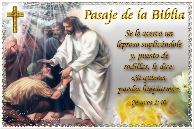 Vidas Santas: Santo Evangelio según san Marcos 1:40