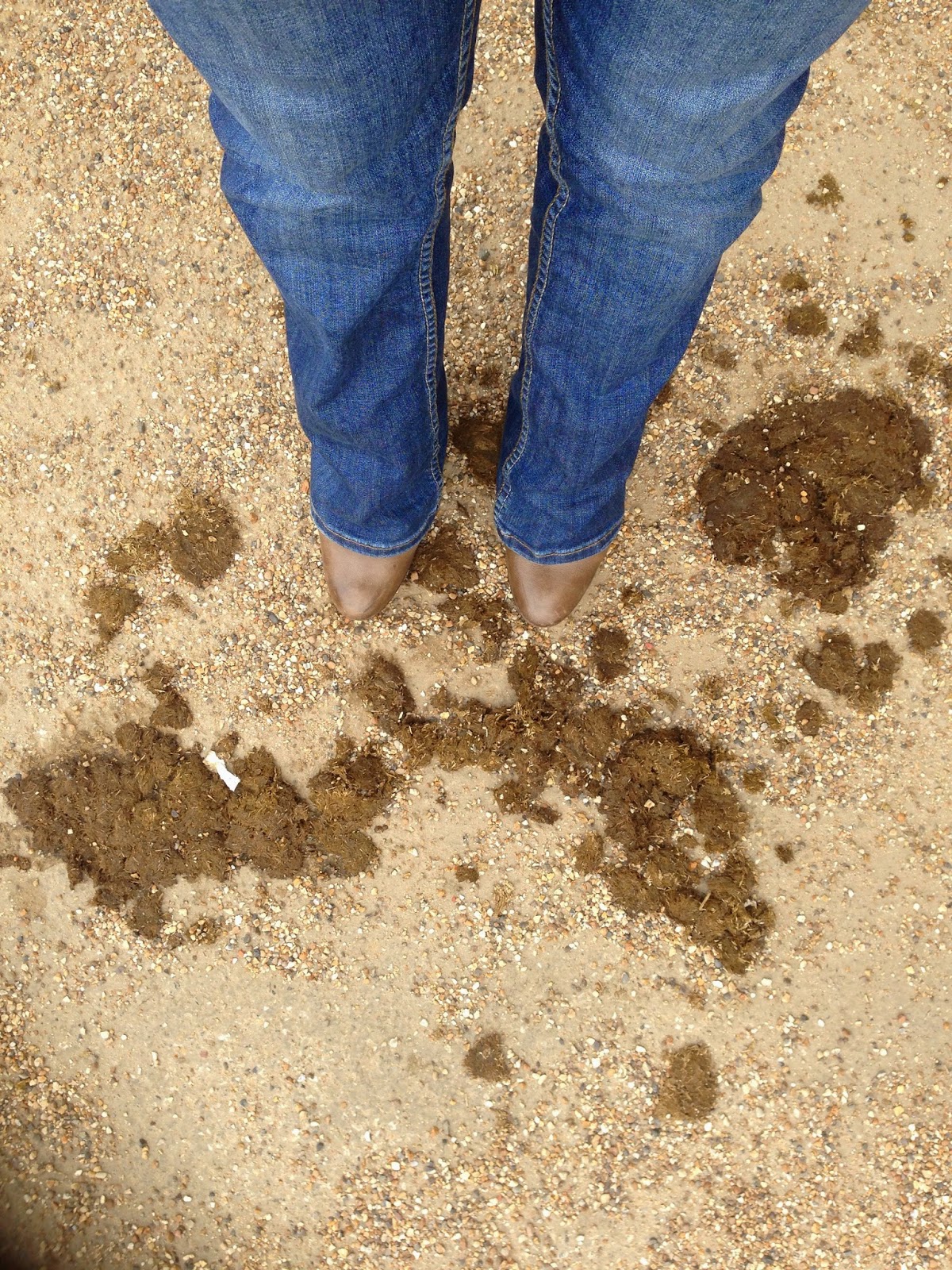 THE WORLD AT MY FEET : ROYAL POO