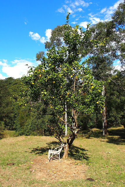 the face of grace: 6 Weeks In Australia: The Original Home