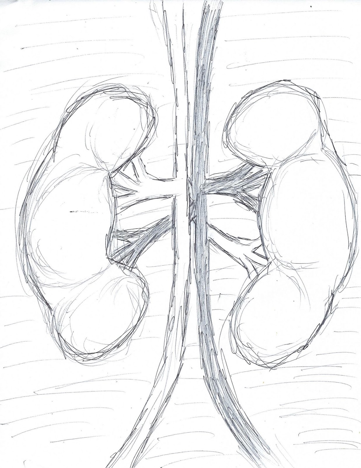 Flinching Forward Fast: Drawing Gallery (First Year)