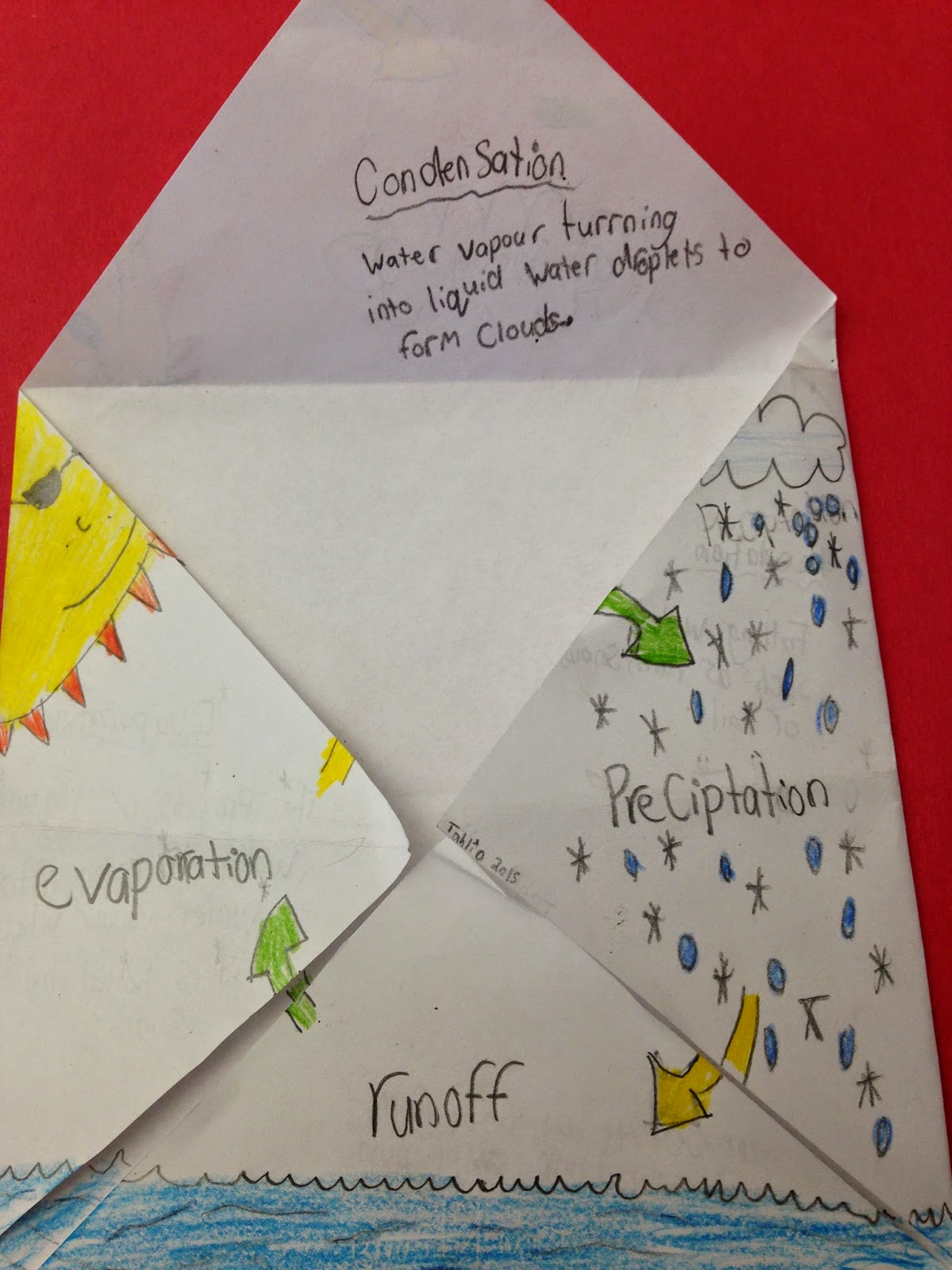 Water Cycle Foldable