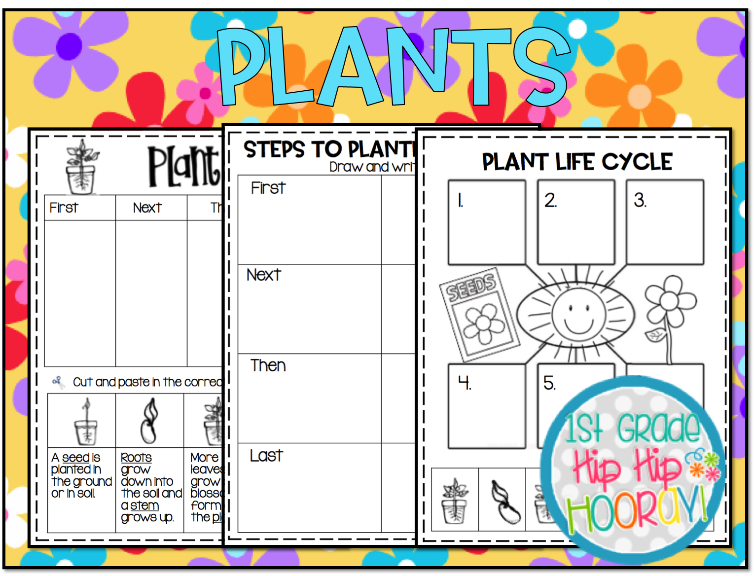 1st Grade Hip Hip Hooray!: Plants ... Growing our knowledge!