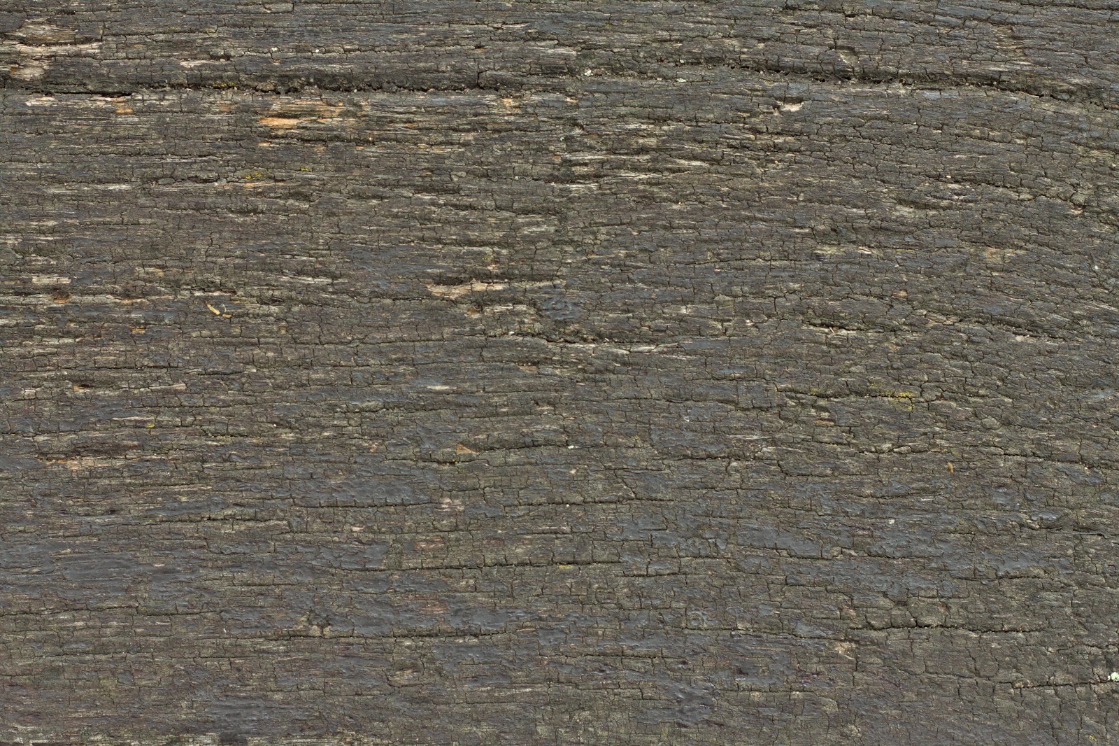 Mr-Textures: (WOOD) dry cracked bench plank tree bark texture ver 16 Mr-Textures: (WOOD) dry cracked bench plank tree bark texture ver 16