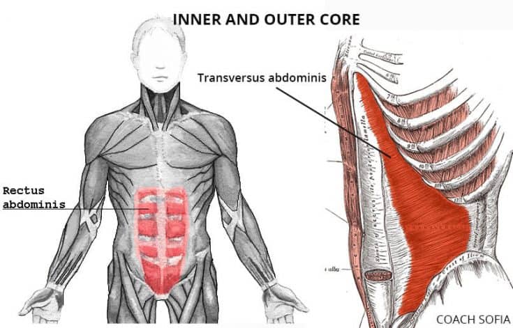 7 Best Transverse Abdominis Activation Exercises | Life style