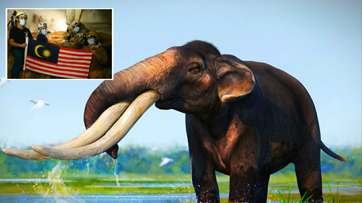 Fosil gajah purba 'raksasa' berusia lebih 30 ribu tahun ditemui di ...
