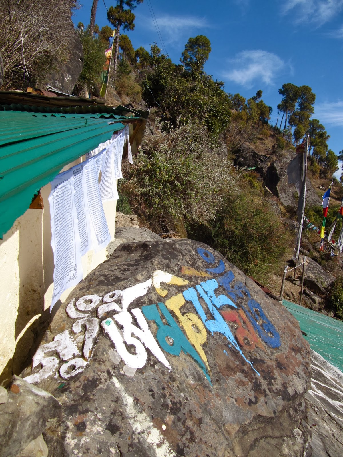 The View From Over Here: Tso Pema/Rewalsar part 1: Caves and Hindu Temples