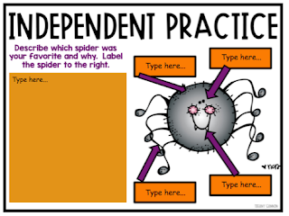 Spiders Main Topic and Key Details Interactive Read Aloud | The ...