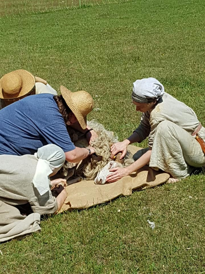 Babbling Brook: On Medieval shearing
