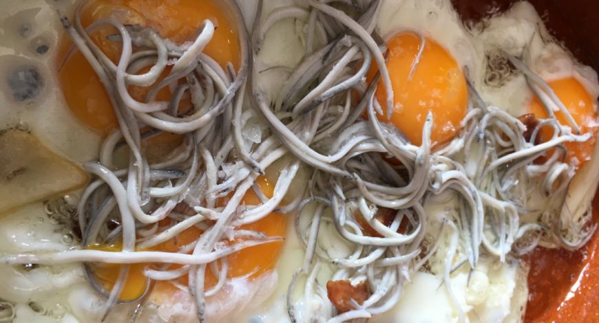 ¡Empieza la esperada temporada de angulas! | Asopaipas. Recetas de ...