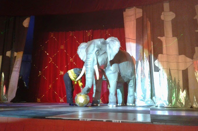 Circus Mania: Mexican robot elephant - the future of circus entertainment?