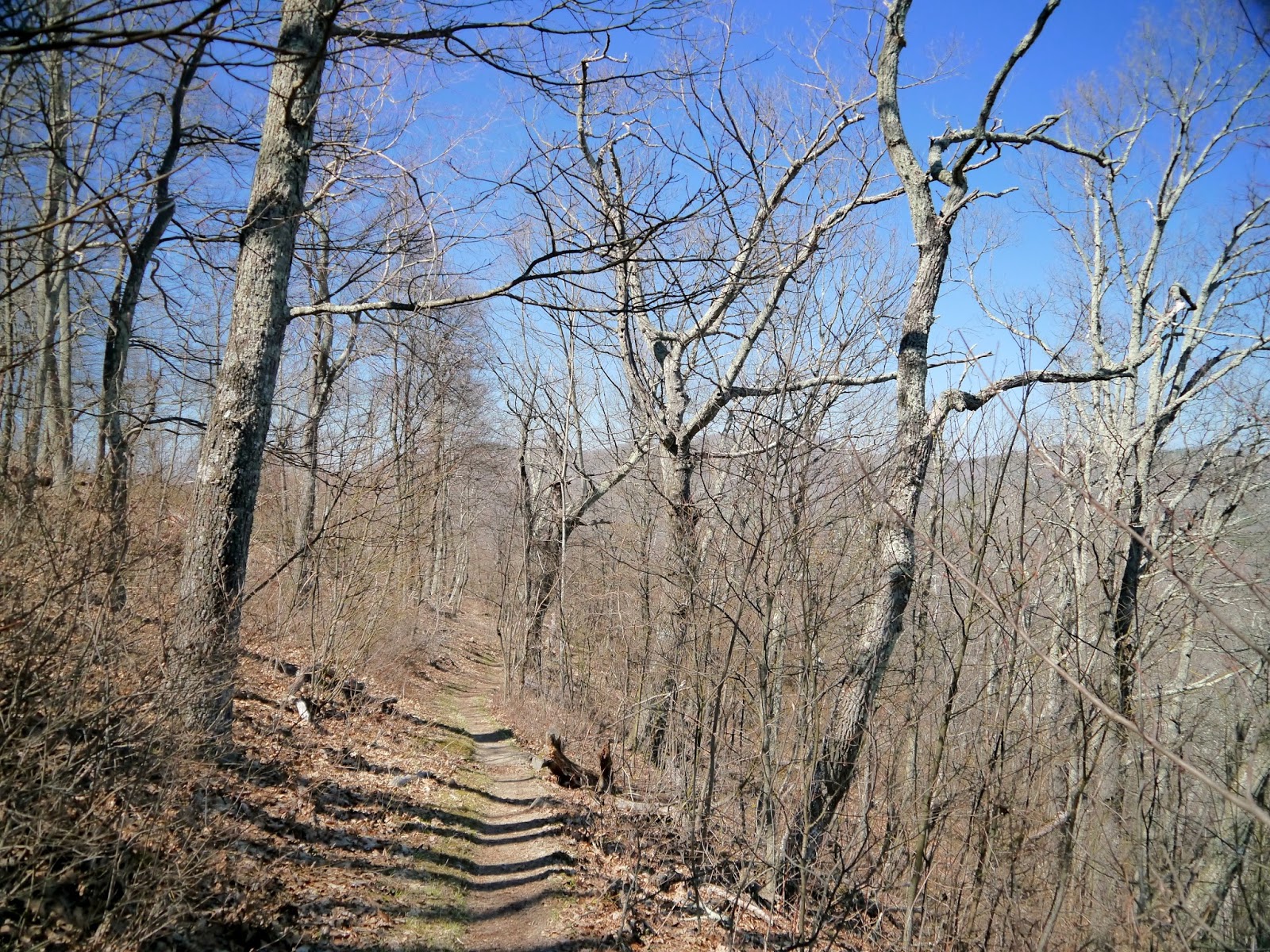American Travel Journal: Riprap Trailhead to Blackrock Gap ...